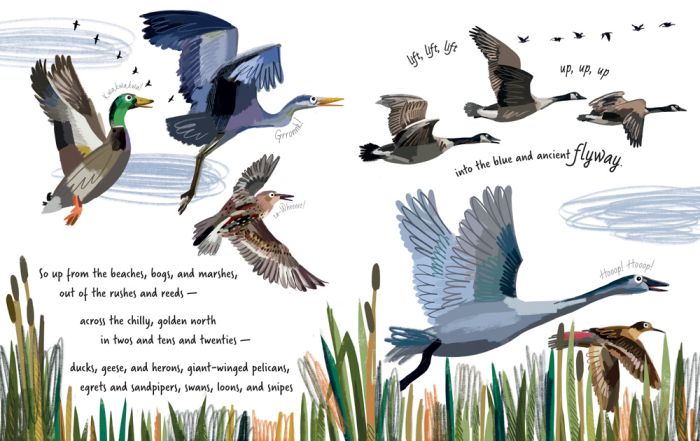 bird migration eyfs