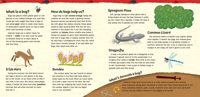 celtic word for lizard